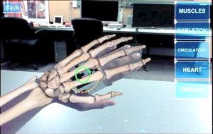 anARtomy: Illustrating Anatomy through Wearable Augmented Reality ...